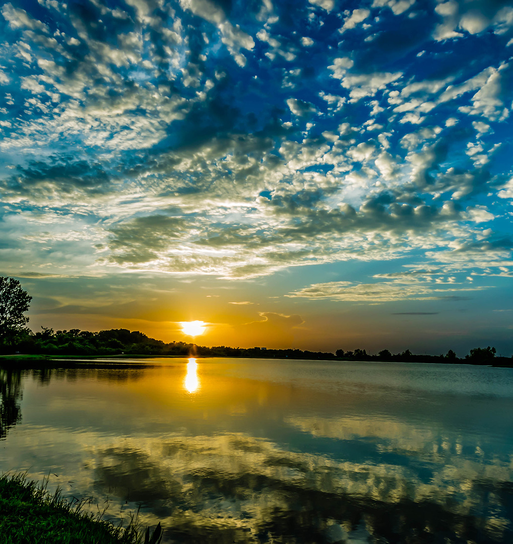 Medicare Advantage Plans in Fort Bend County, Texas | SCAN Health Plan